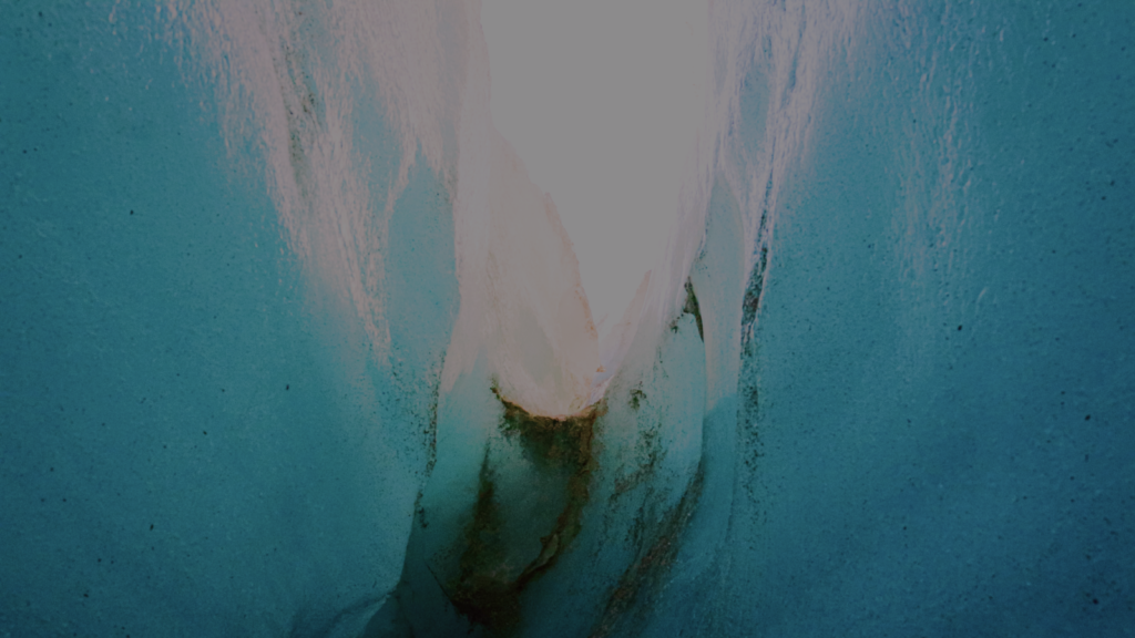 Our AI Tools – Ecosphere Partners